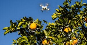 Aerobotics in Africa: How Drones & AI Are Transforming Farming (with ...